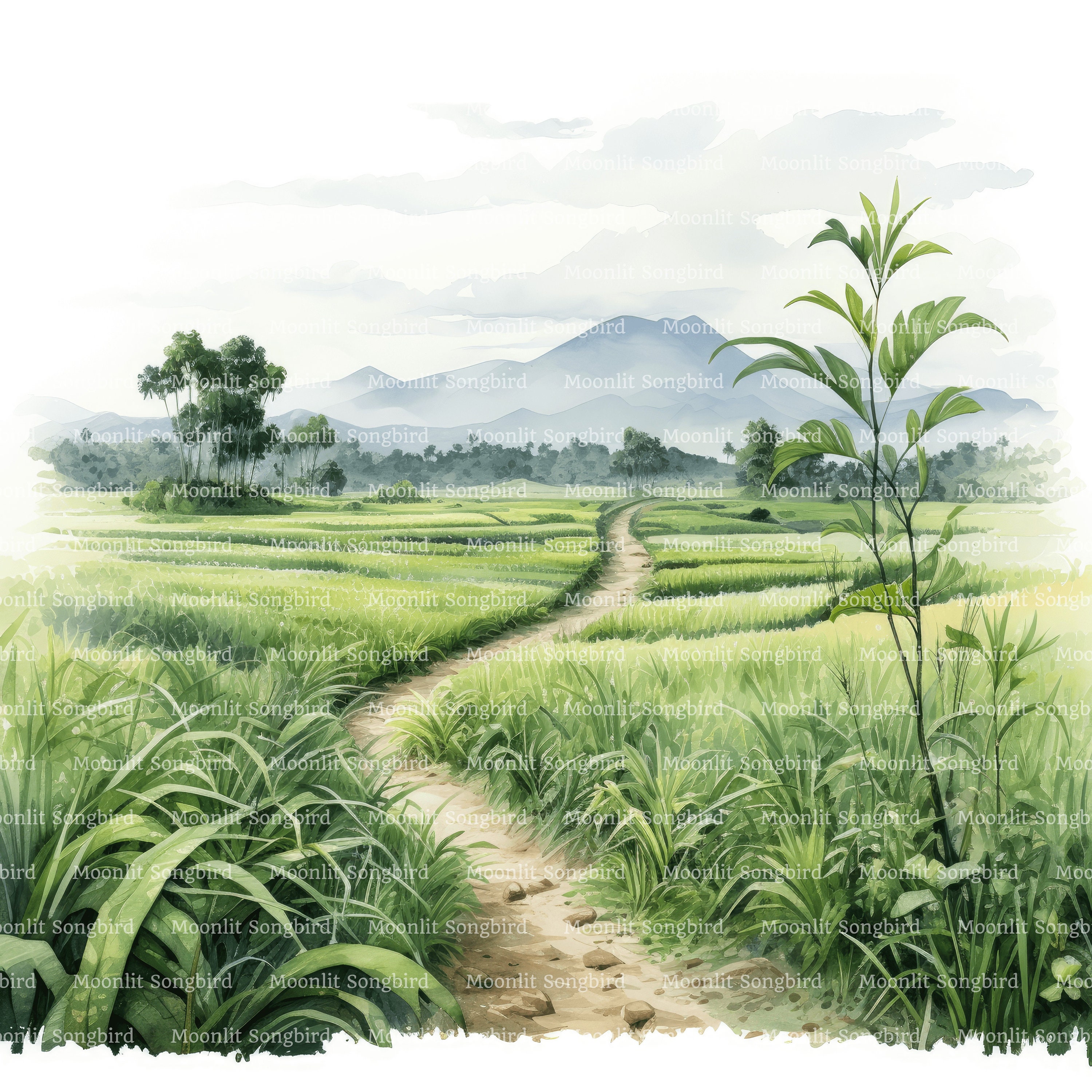 12 Rice Fields Clipart, Digital Download, Printable Watercolor Clipart ...