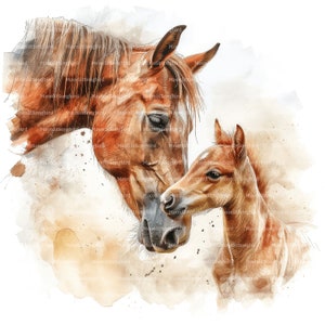 10 Mother Horse and Foal Clipart, Digital Download, Printable ...