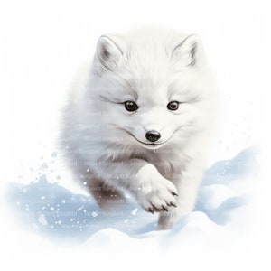 15 Polar Fox in Snow Clipart, Digital Download, Printable Watercolor ...