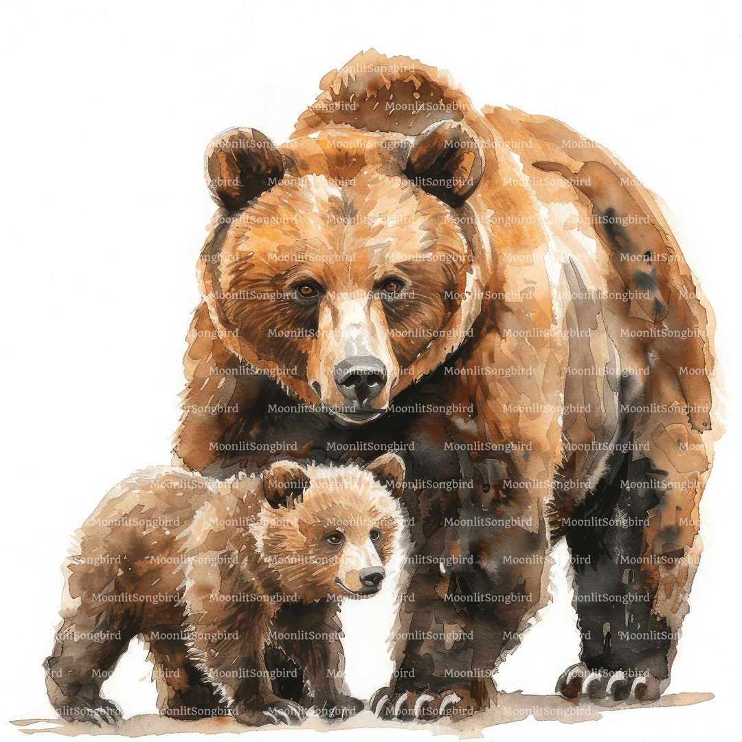 9 Brown Bear and Cub Clipart, Digital Download, Printable Watercolor ...