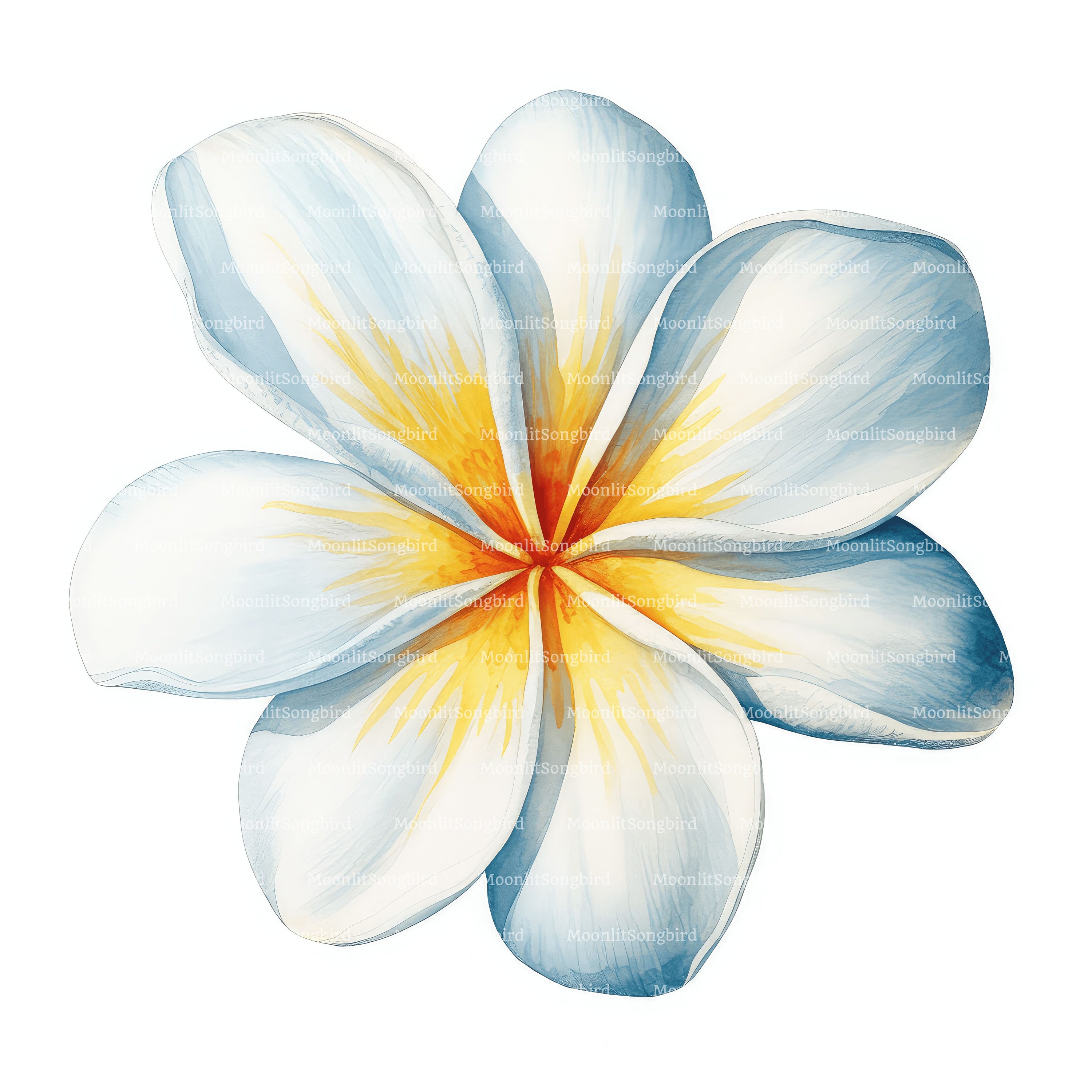 12 Frangipani Flowers Clipart, Digital Download, Printable Watercolor ...