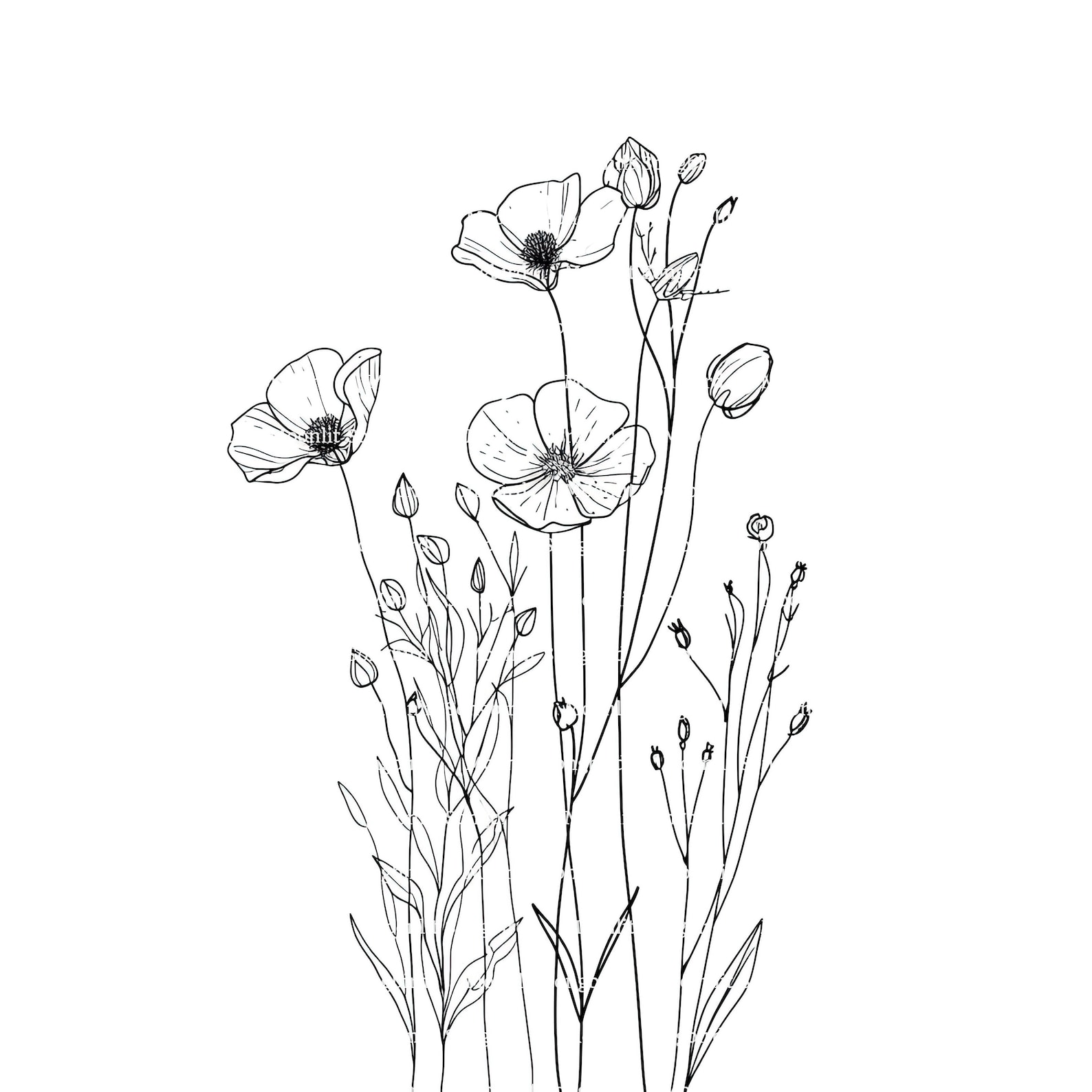 16 Wildflower Drawings Black and White Clipart, Digital Download ...