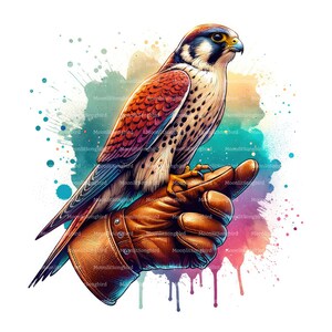 10 Falcon on Glove Clipart, Digital Download, Printable Watercolor ...