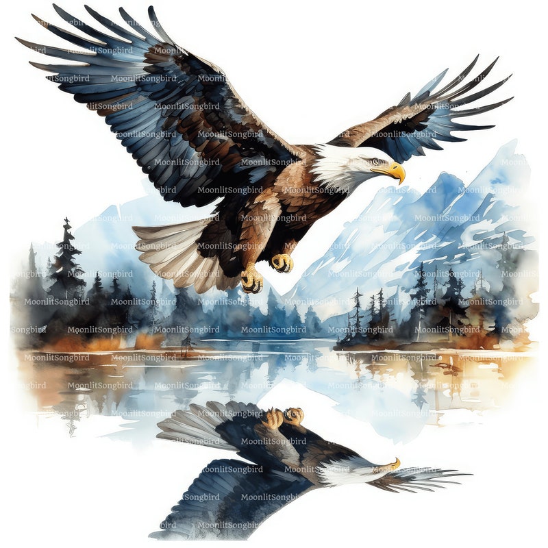 Eagle Soaring Vector - Etsy UK
