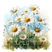 10 Field of Daisies Clipart, Digital Download, Printable Watercolor ...
