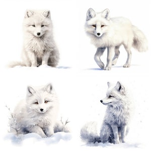 15 Polar Fox in Snow Clipart, Digital Download, Printable Watercolor ...