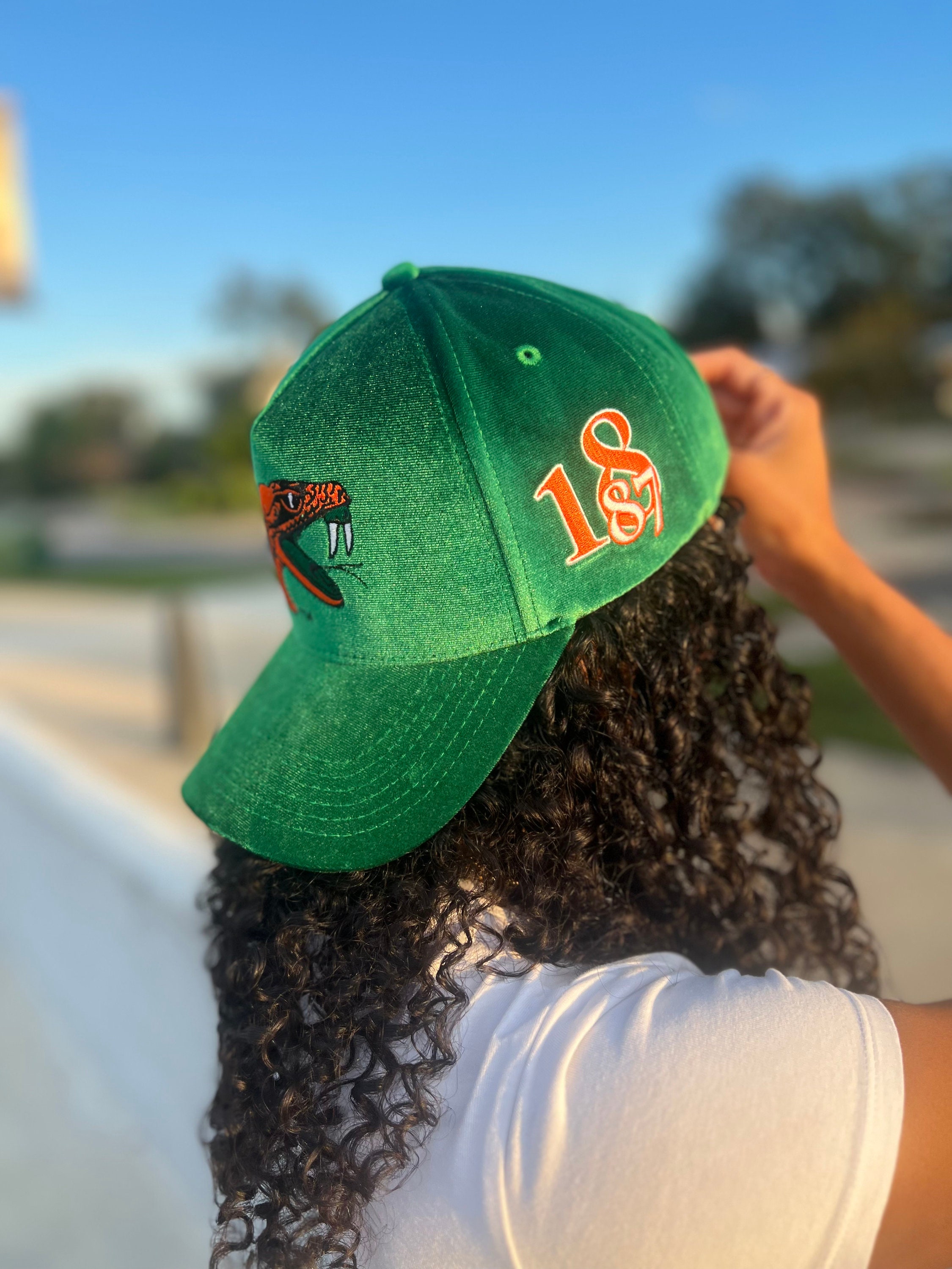 FAMU Velvet Retro Hat - Etsy