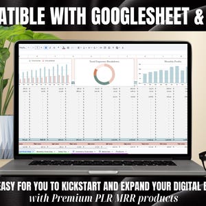 MRR PLR Excel Spreadsheet Google Sheet Template Bundle Done for You ...
