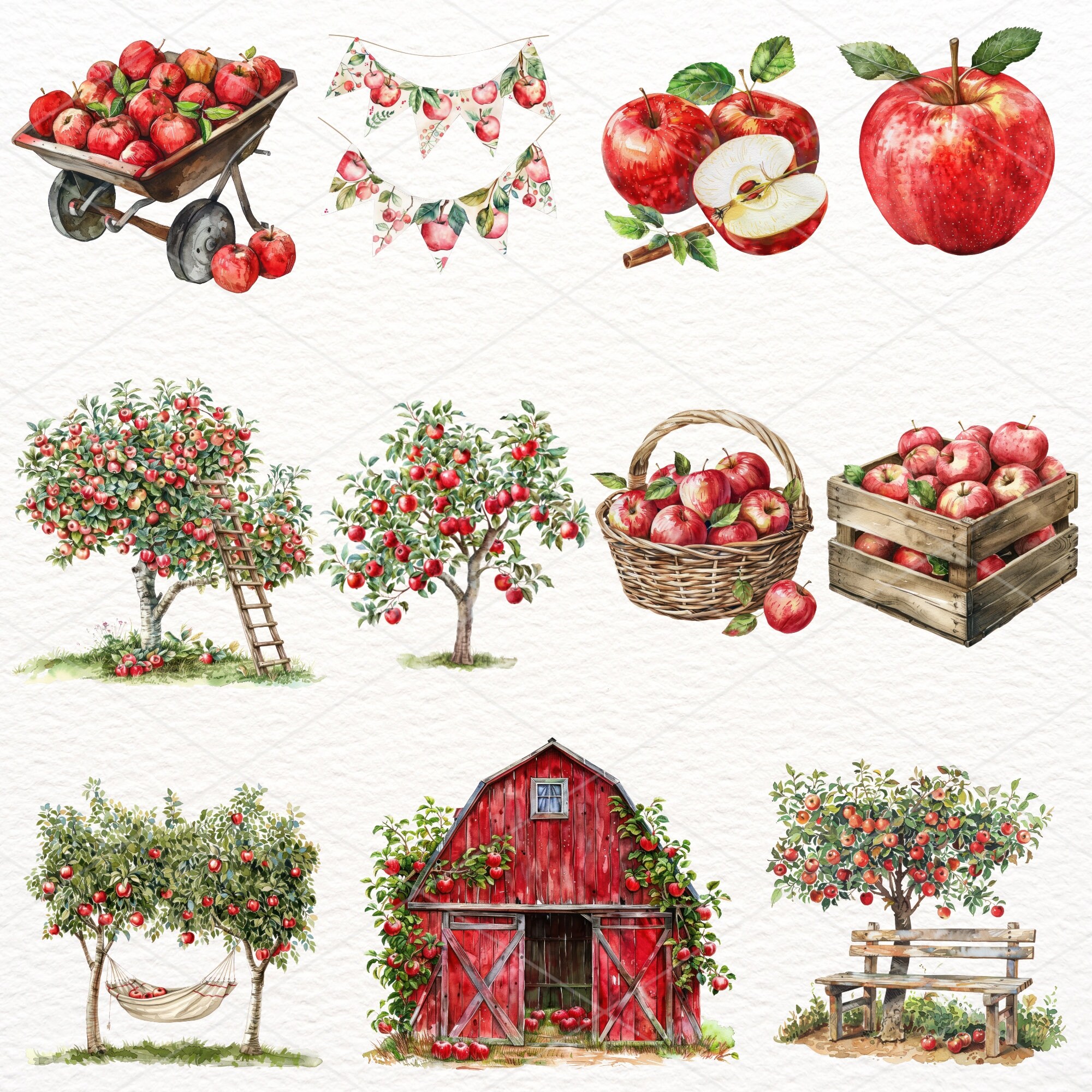 Watercolor Apple Farm Clipart: Summer Fruits Graphics (instant Download ...