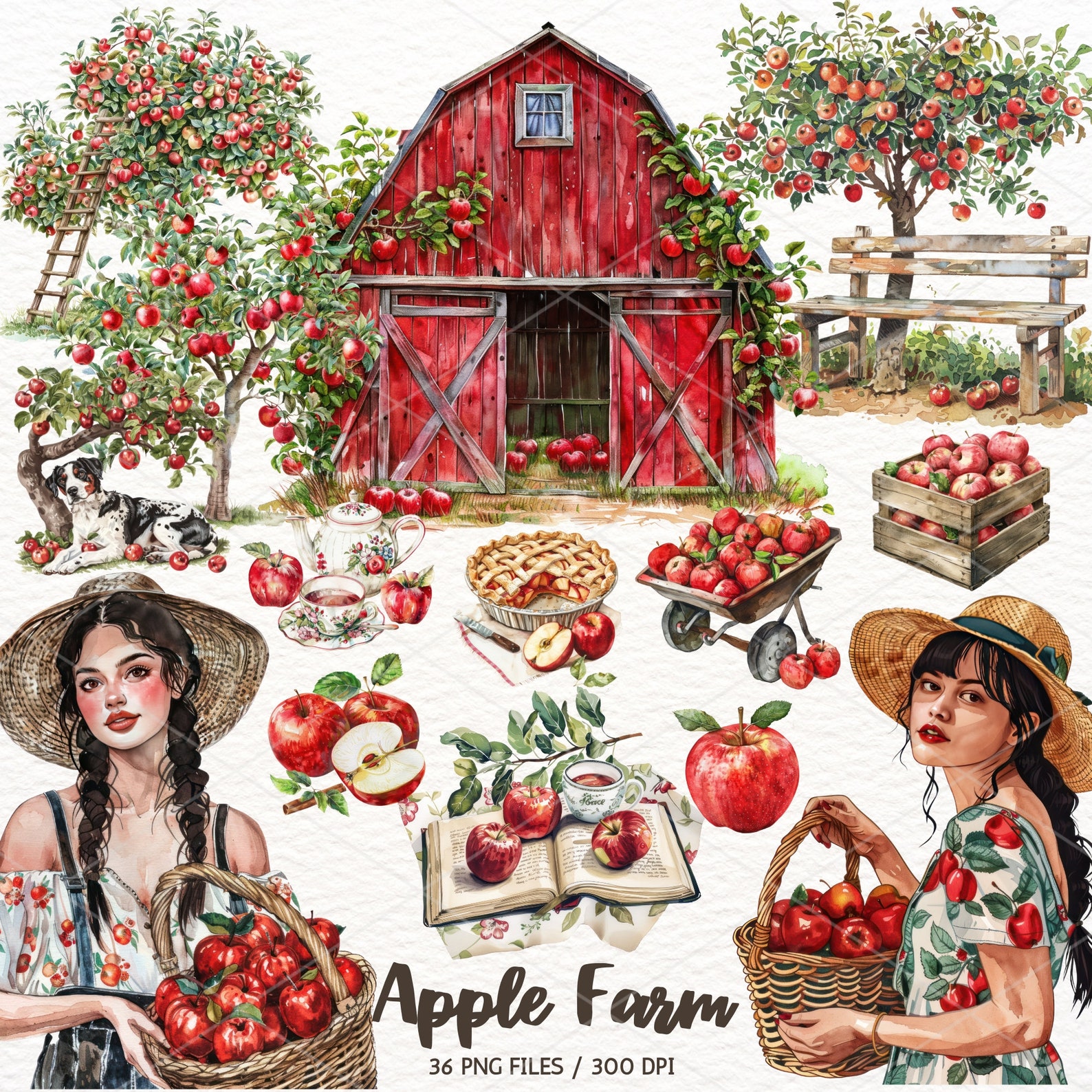 Watercolor Apple Farm Clipart, Summer, Red Apple Clipart, Watercolor ...