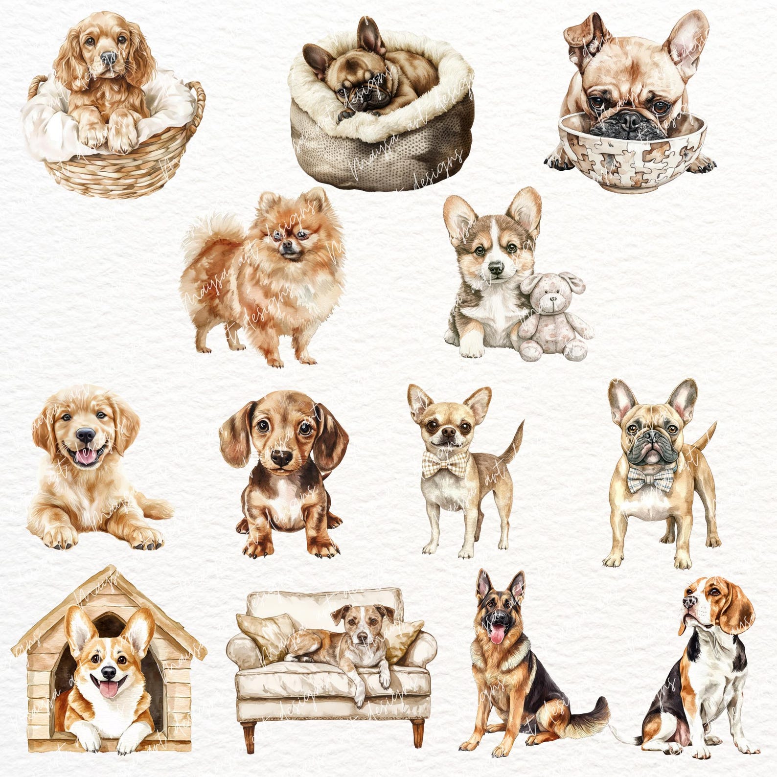 Watercolor Dog Breeds Clipart: Puppy PNG Graphics (digital Download ...