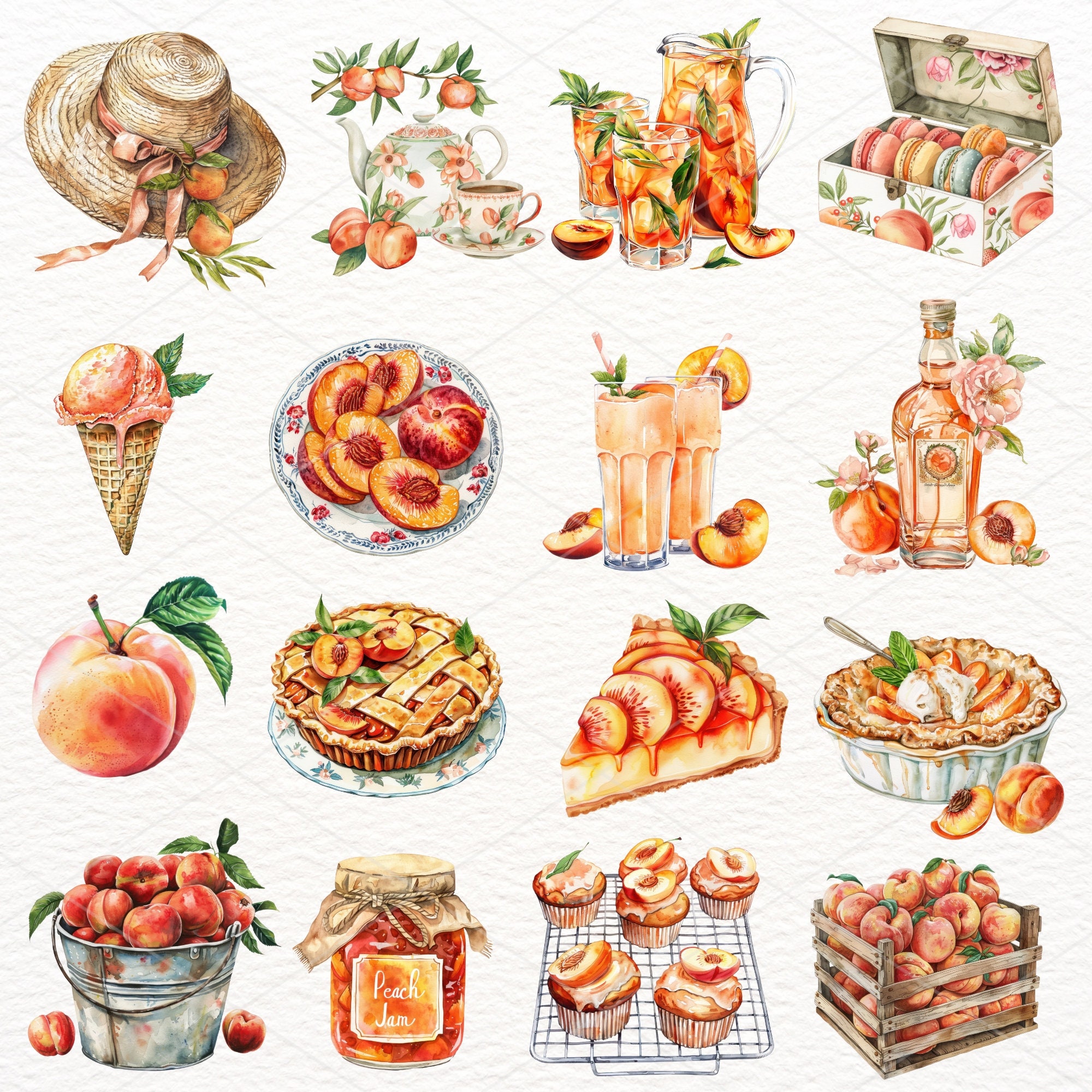 Watercolor Peach Farm Clipart, Fruit Clip Art, Summer Graphics, Peach ...