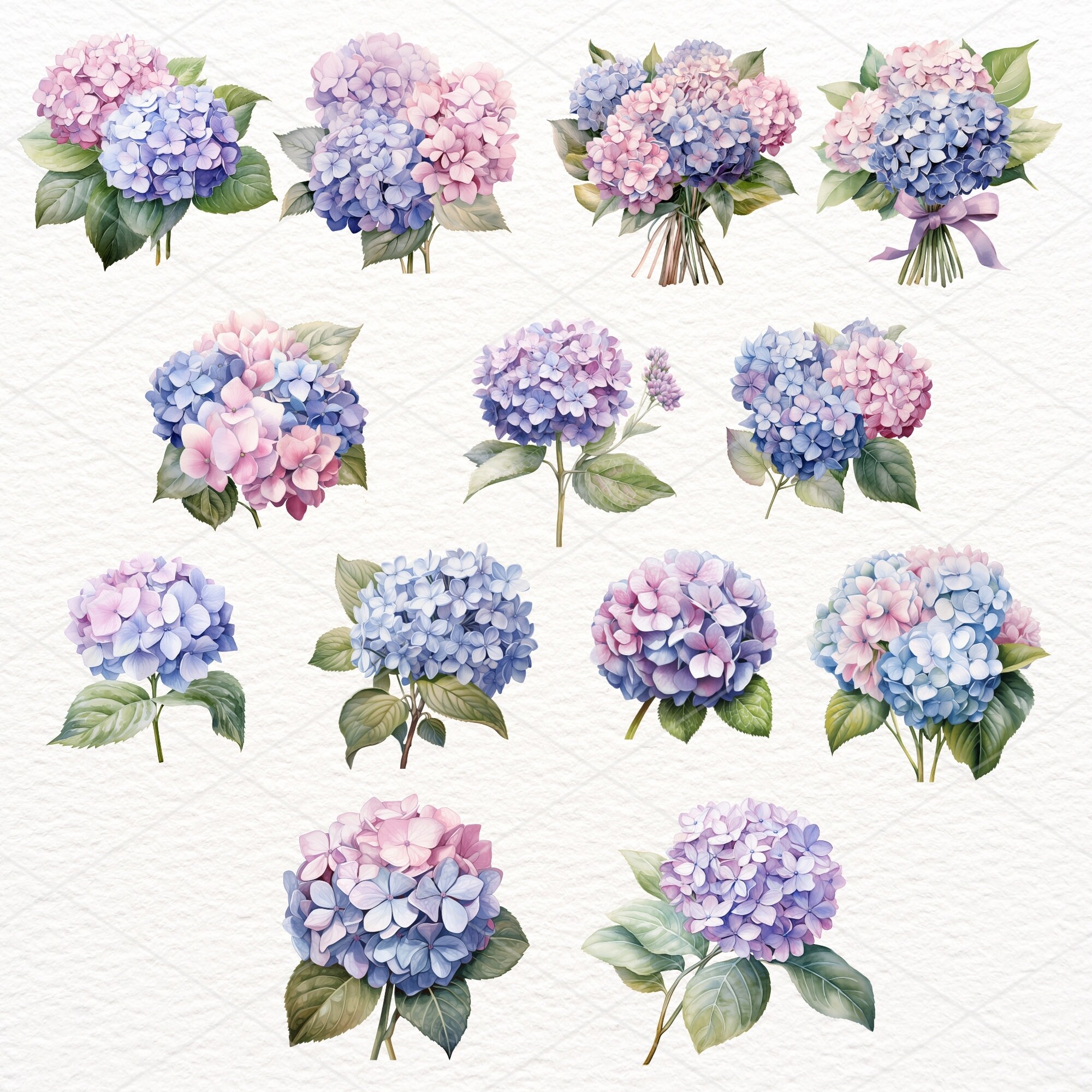 Hydrangea Watercolor Clipart: Floral PNG Set (commercial Use) - Etsy