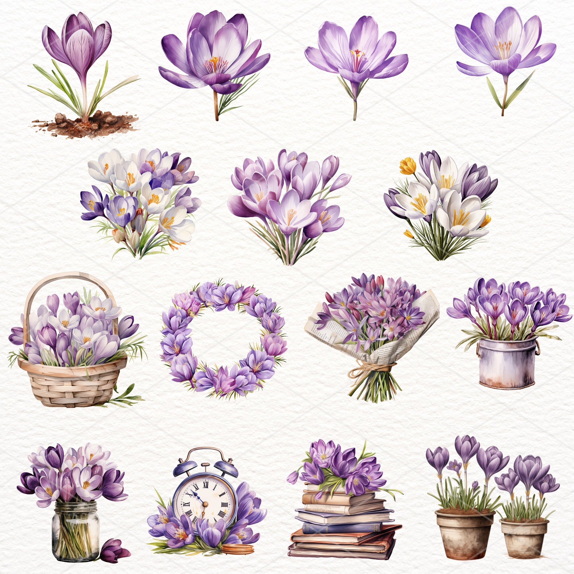Crocus Watercolor Clipart, Spring Florals, Spring Flowers PNG, Flower ...