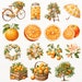 Watercolor Orange Farm Clipart, Orange Fruit, Citrus, Juice, Orange ...