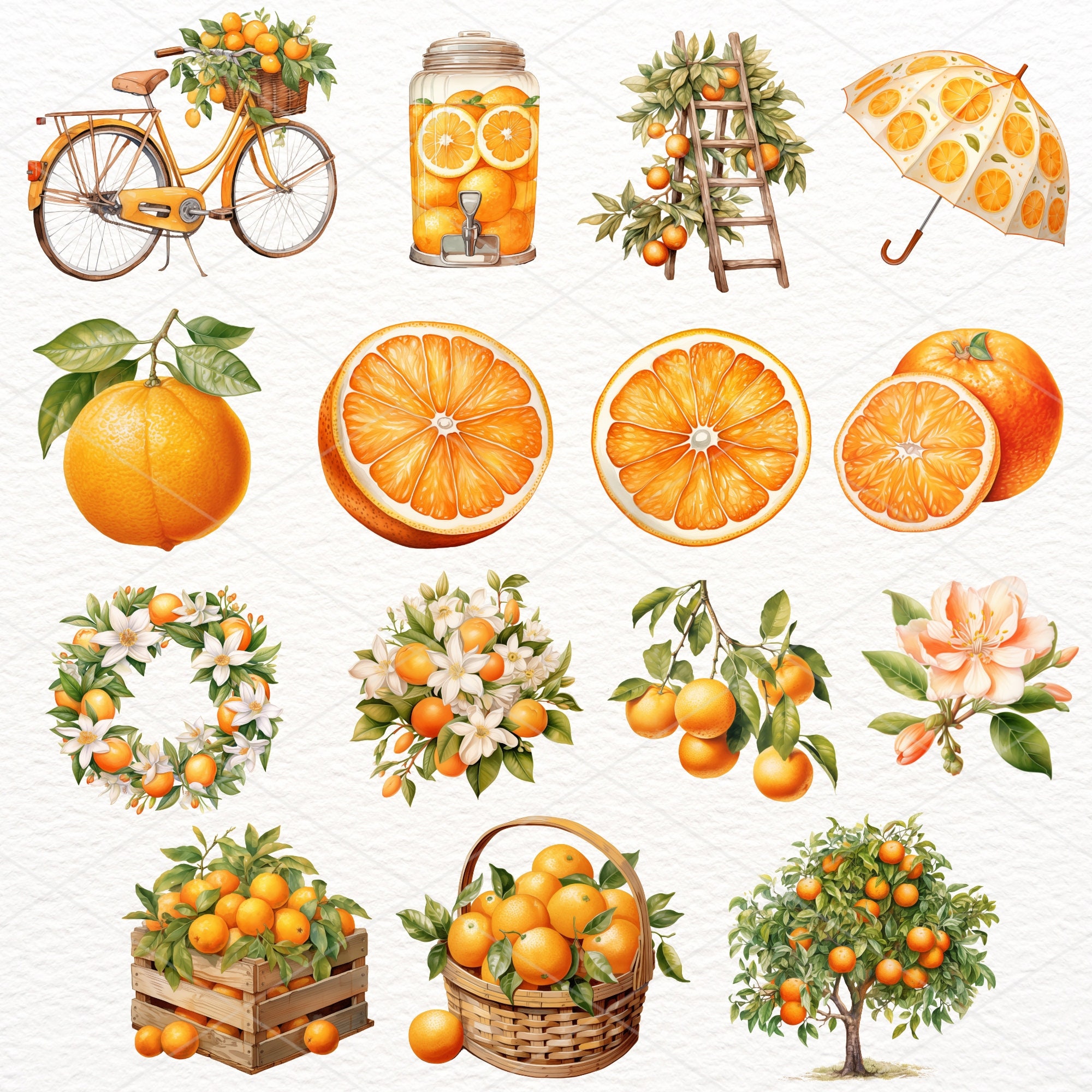 Watercolor Orange Farm Clipart, Orange Fruit, Citrus, Juice, Orange ...