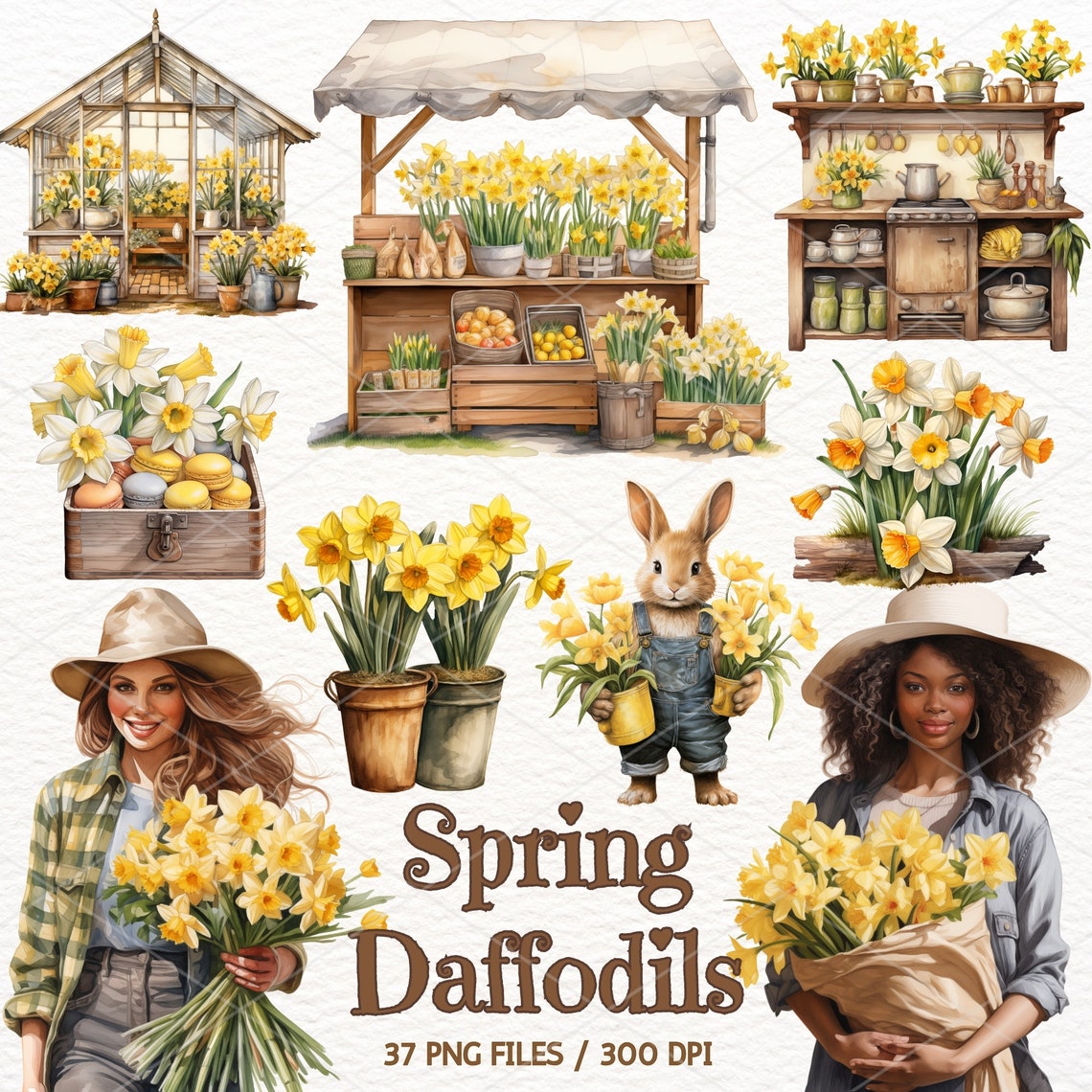 Spring Daffodil Flowers Watercolor Clipart Bundle, Floral PNG Clipart ...