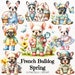 Spring Clipart Bundle PNG, French Bulldog Clipart, Cute Frenchie ...