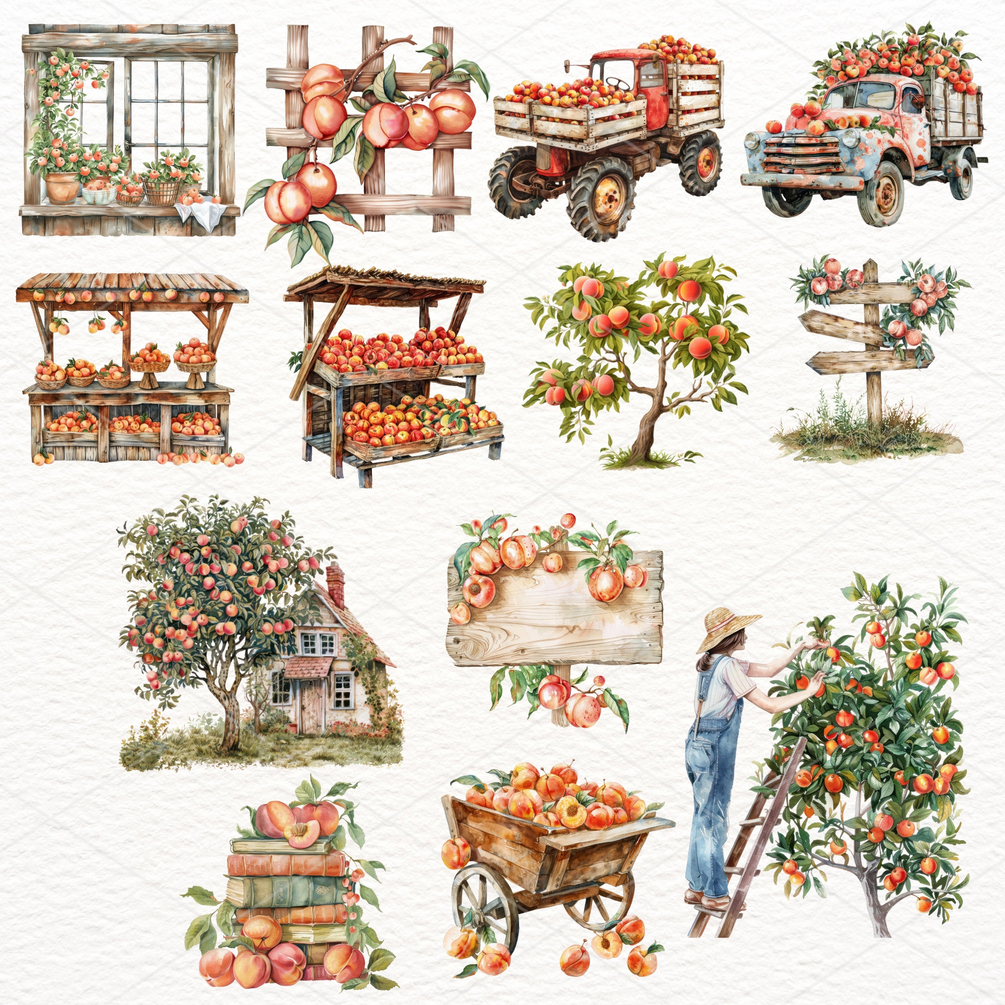 Watercolor Peach Farm Clipart, Fruit Clip Art, Summer Graphics, Peach ...