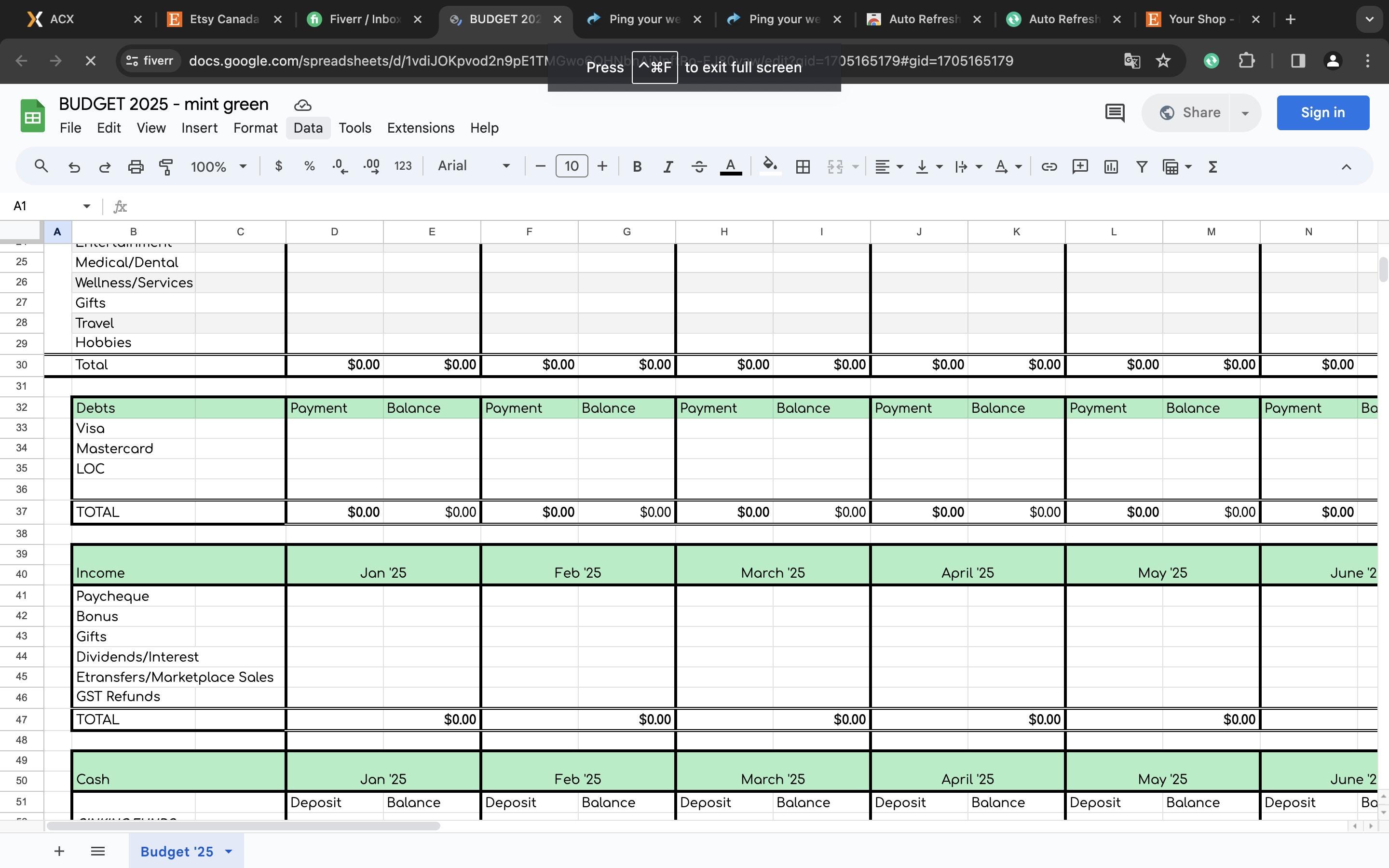 2025 Standard Budget Planner Google Sheet Spreadsheet – Baby Mint Green ...