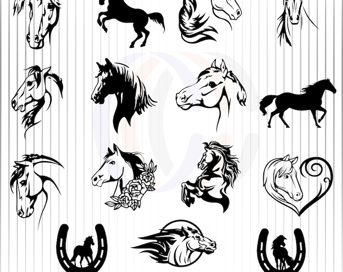 Pferd svg, Pferd Png, Rodeo svg, Pferde svg, Pferde-Shirt svg, Hufeisen ...