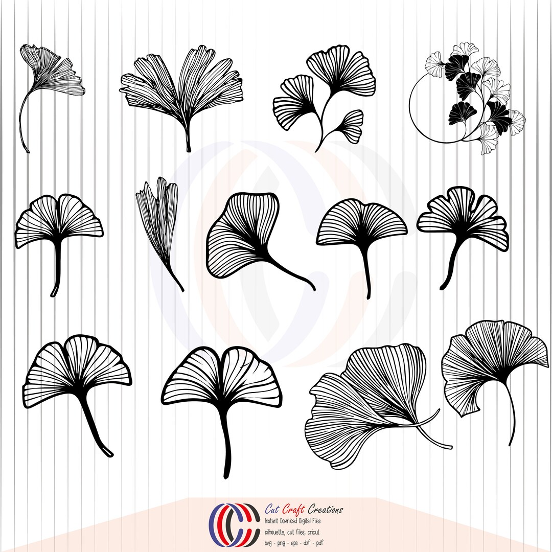 Gingko Leaf Outlines Svg,gingko Leaves Svg,digital Download,gingko Leaf ...