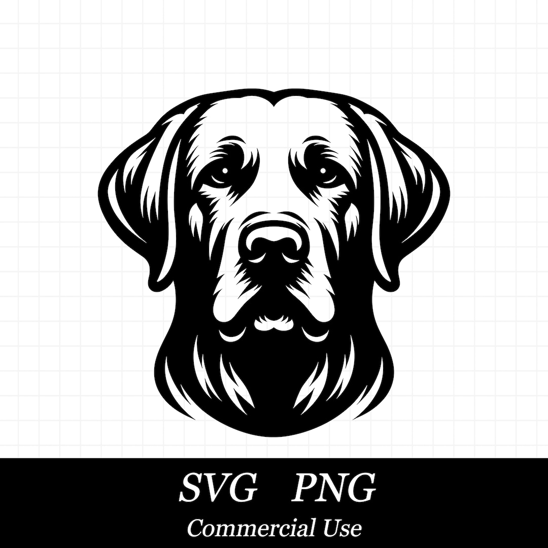 Labrador Dog SVG PNG, Lab Svg, SVG Files for Cricut, Commercial Use ...