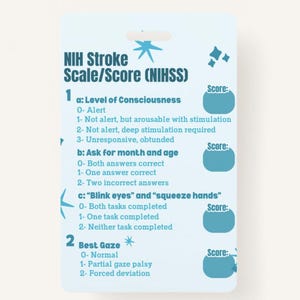 NIH Stroke Scale (NIHSS) Badge Buddy | Nursing Badge Buddies - Etsy ...