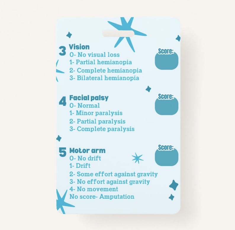 NIH Stroke Scale (NIHSS) Badge Buddy | Nursing Badge Buddies - Etsy