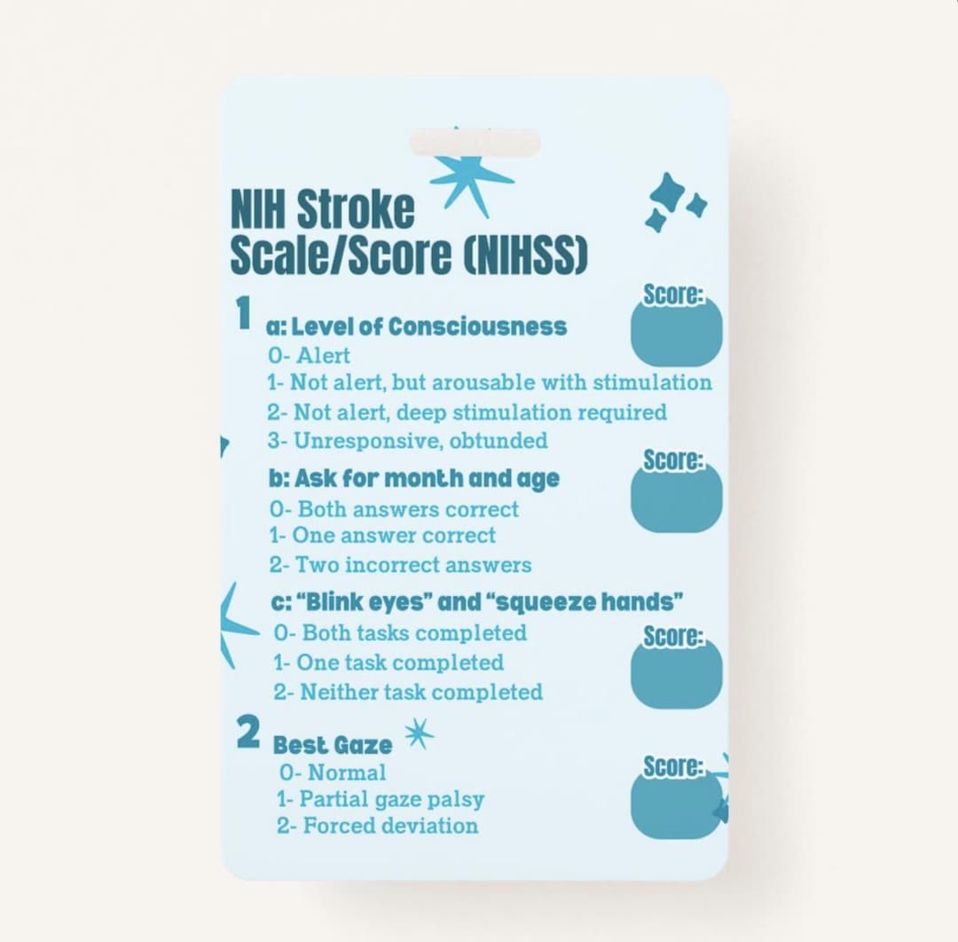 NIH Stroke Scale (NIHSS) Badge Buddy | Nursing Badge Buddies - Etsy