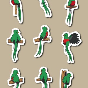 Quetzal Illustration PNG, SVG - Etsy