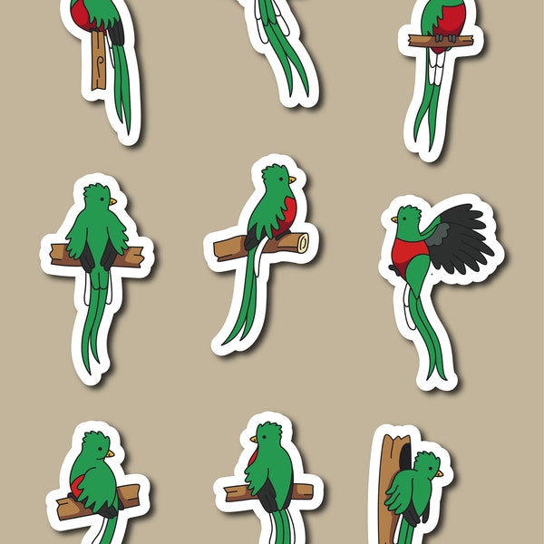 Quetzal - Etsy