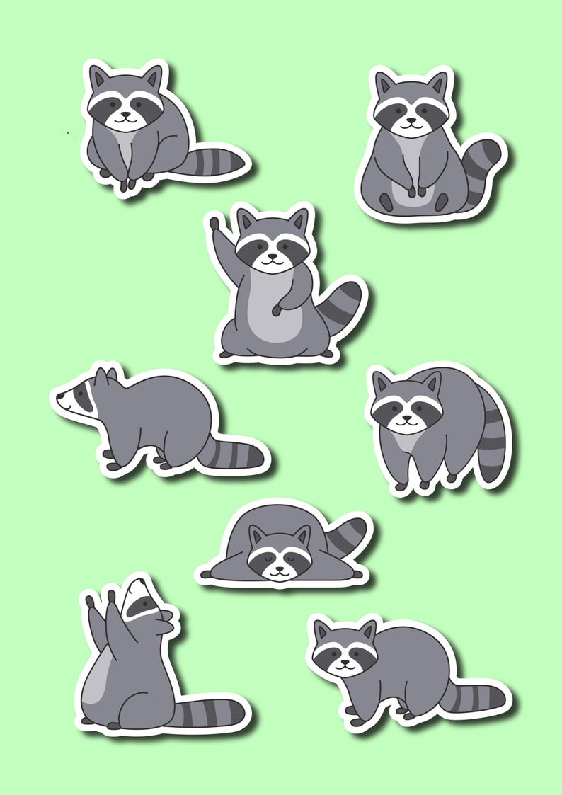 Racoon Illustration PNG, SVG - Etsy