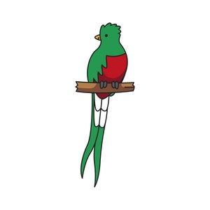 Quetzal Illustration PNG, SVG - Etsy
