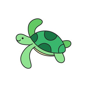 Turtle Illustration PNG, SVG Files - Etsy