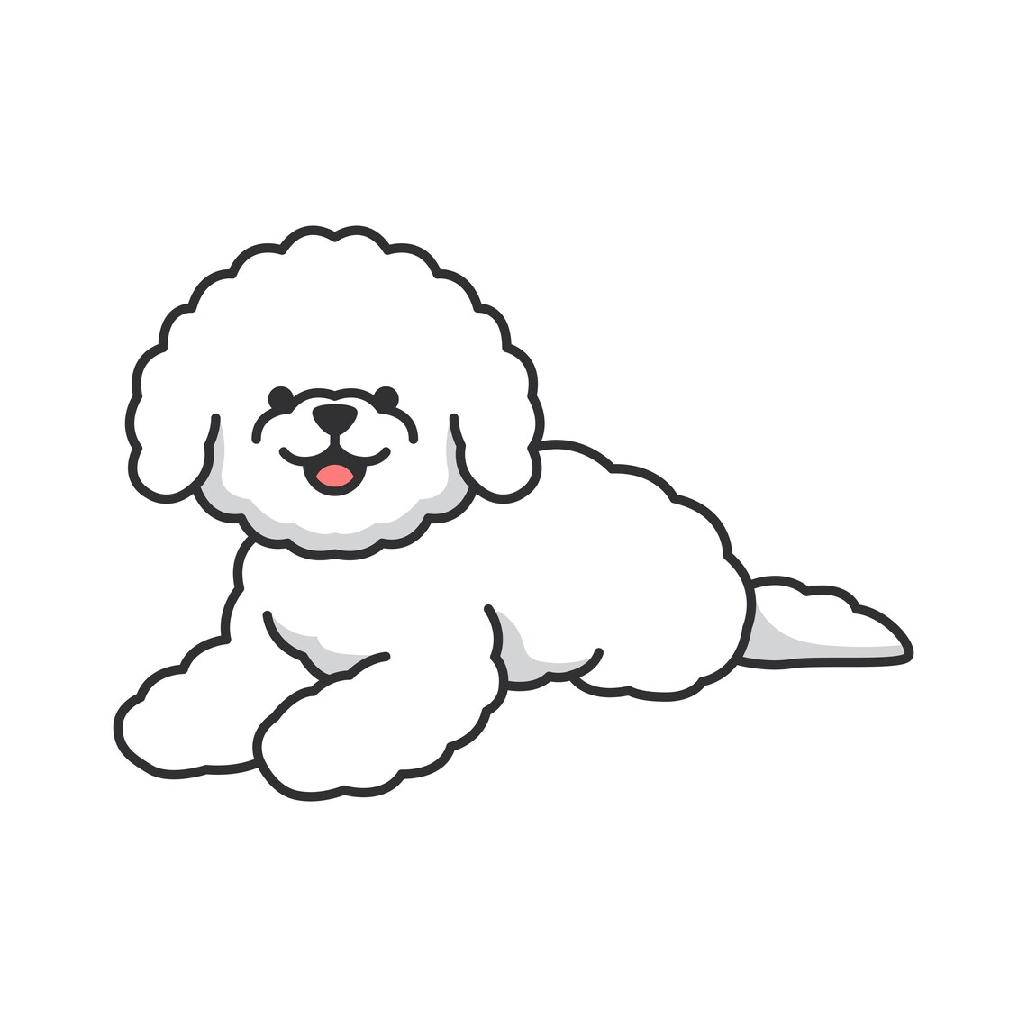 Bichon Dog Illustration PNG, SVG - Etsy