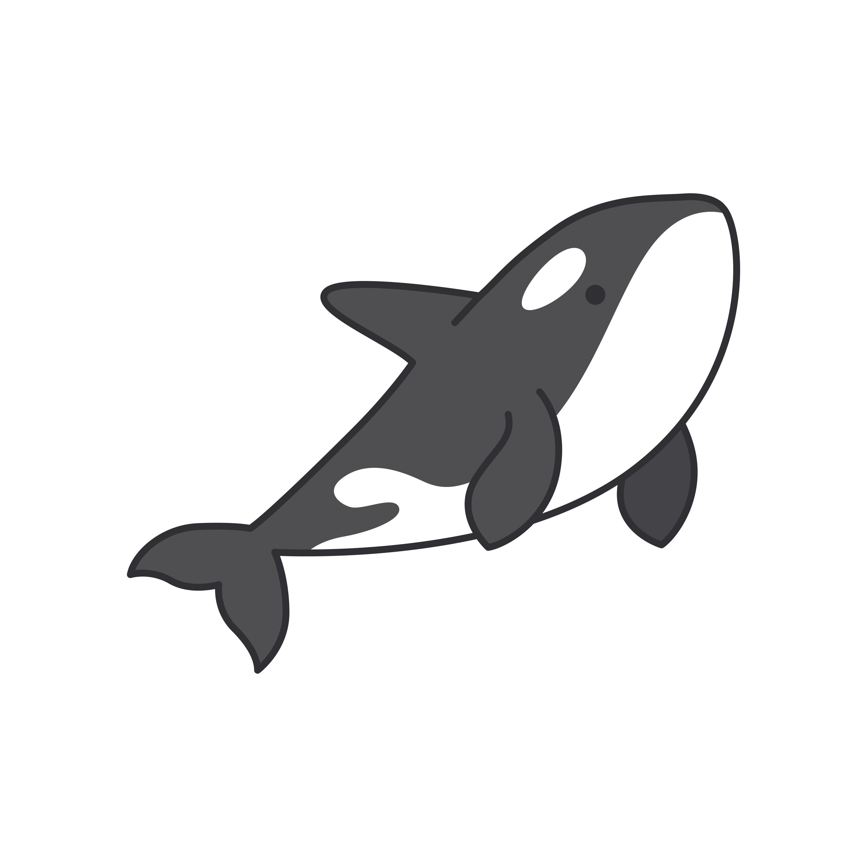 Orca Whale Illustration PNG, SVG - Etsy