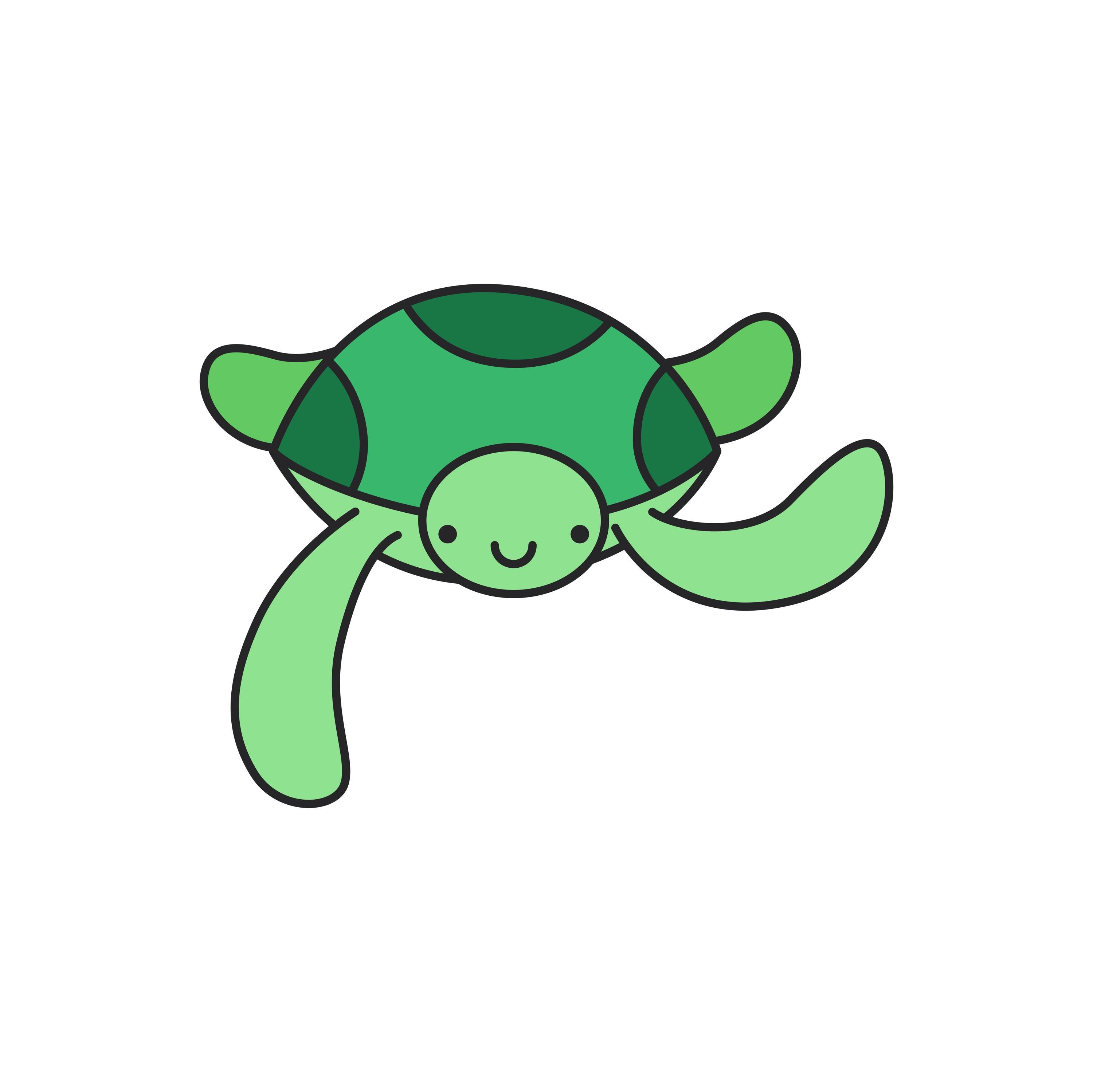 Turtle Illustration PNG, SVG Files - Etsy