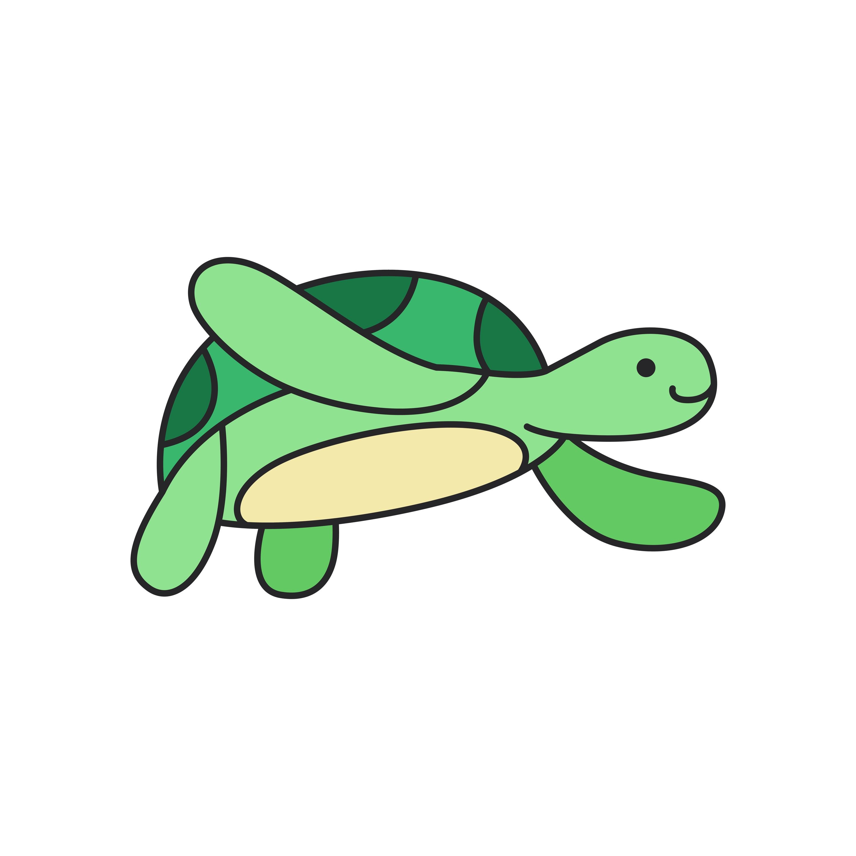 Turtle Illustration PNG, SVG Files - Etsy