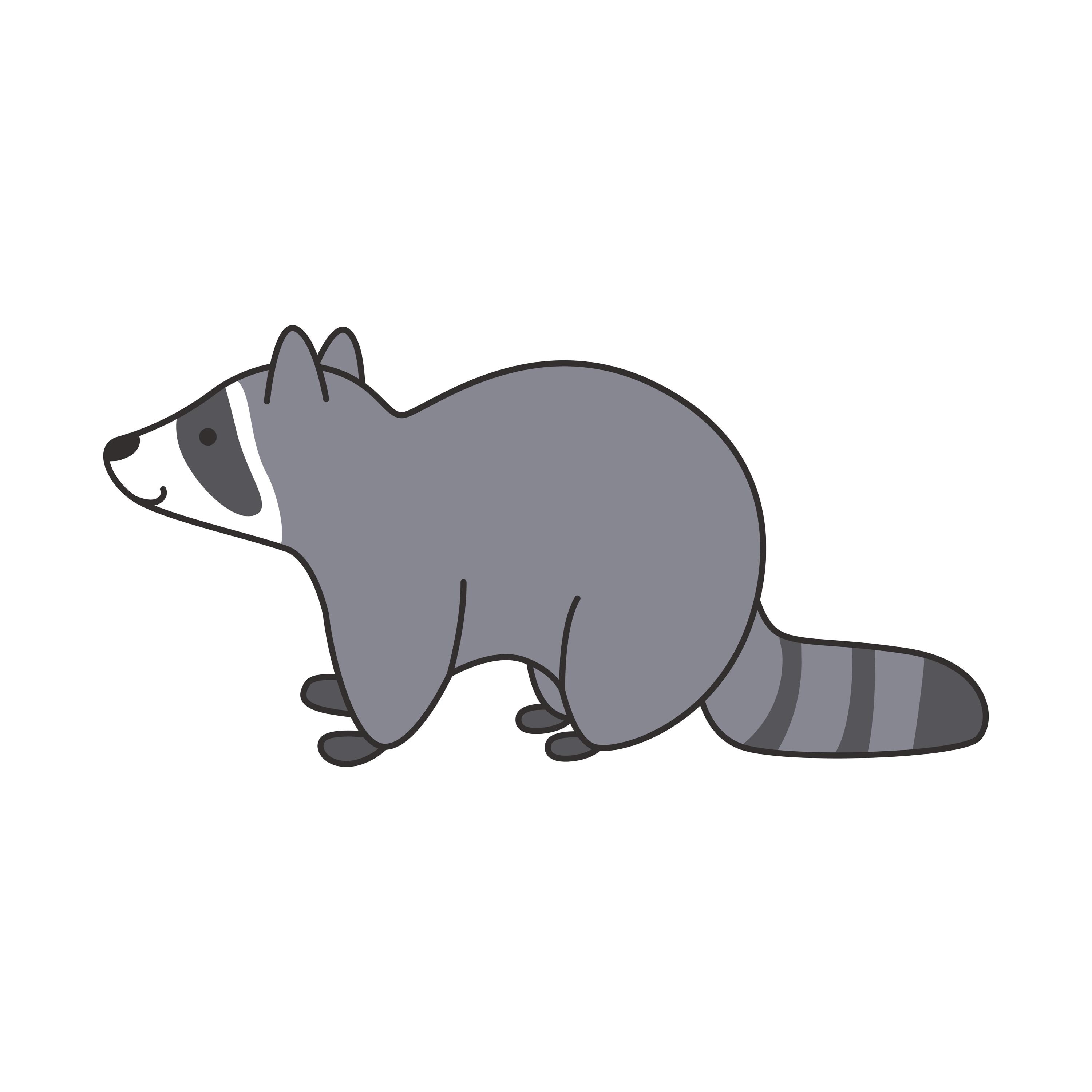 Racoon Illustration PNG, SVG - Etsy