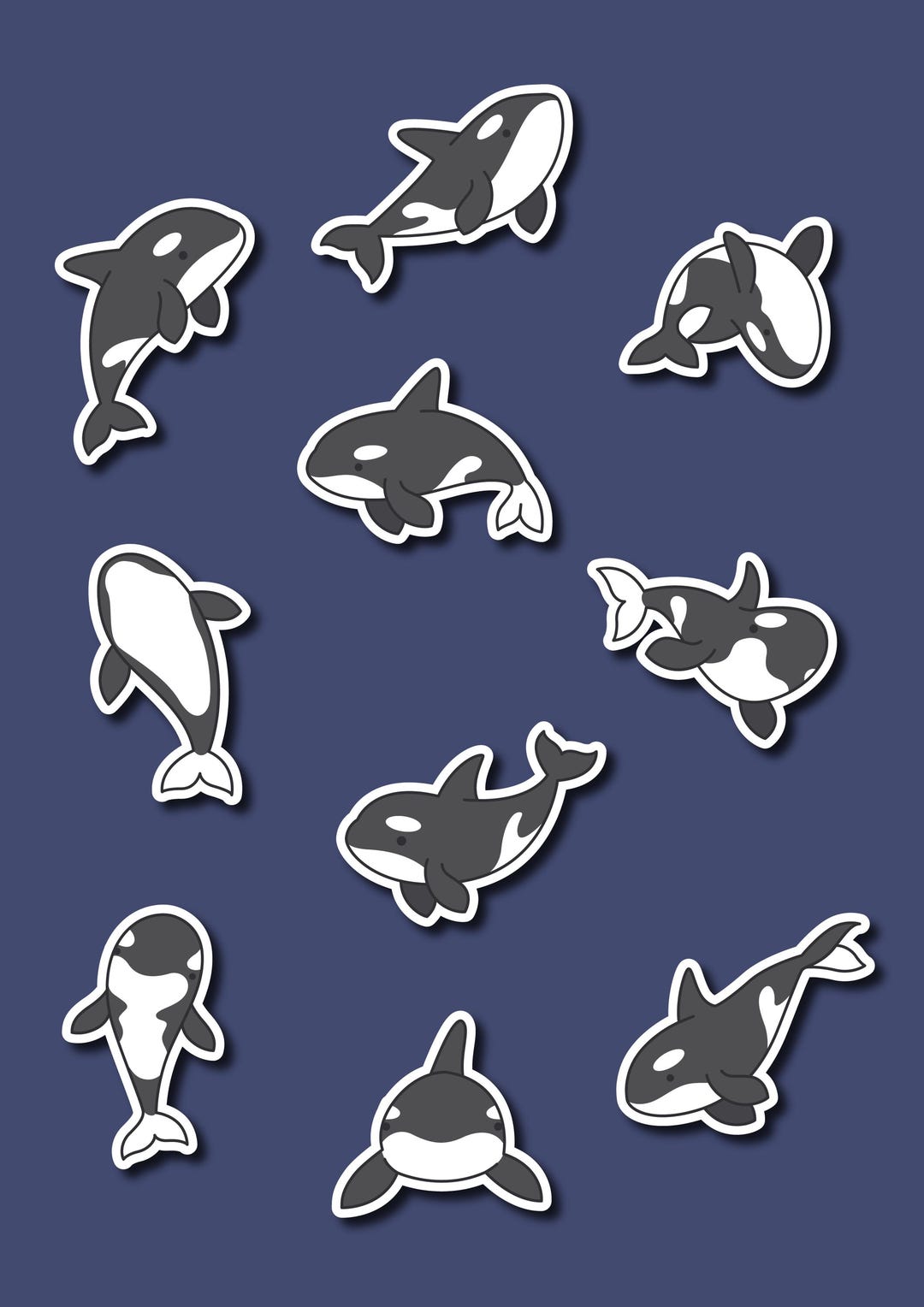 Orca Whale Illustration PNG, SVG - Etsy