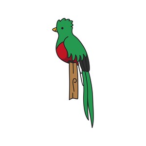 Quetzal Illustration PNG, SVG - Etsy