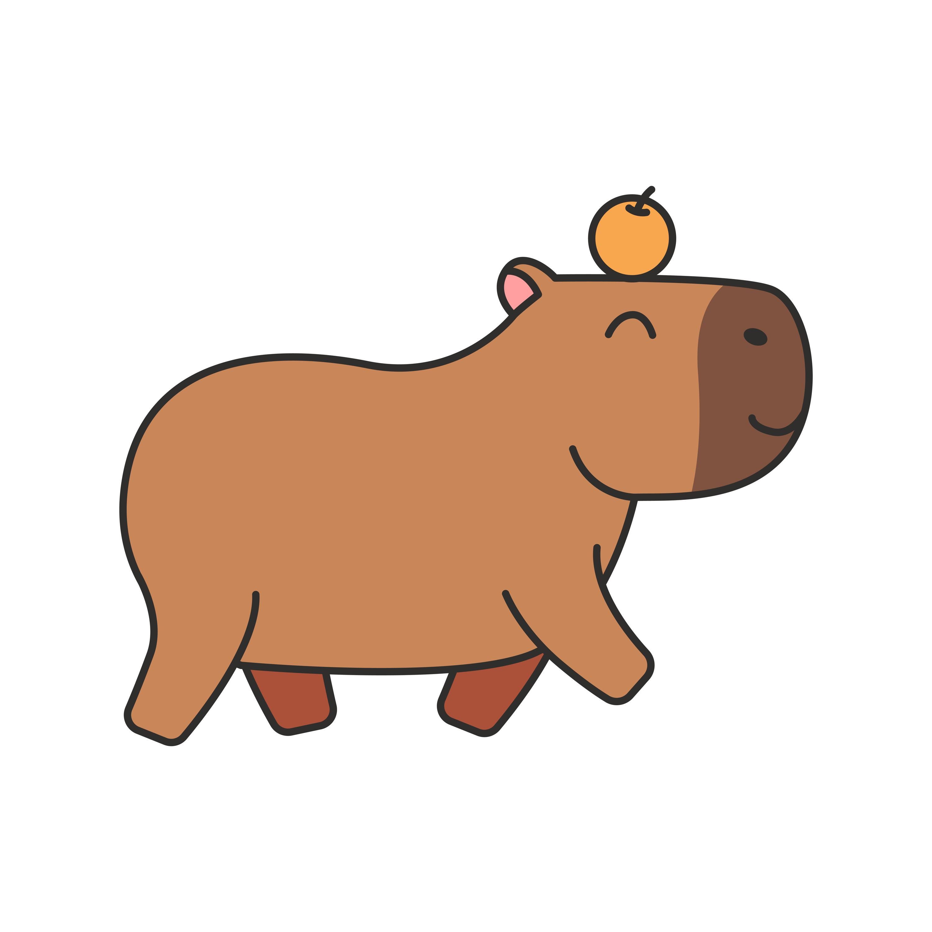 Capybara Illustration PNG, SVG - Etsy