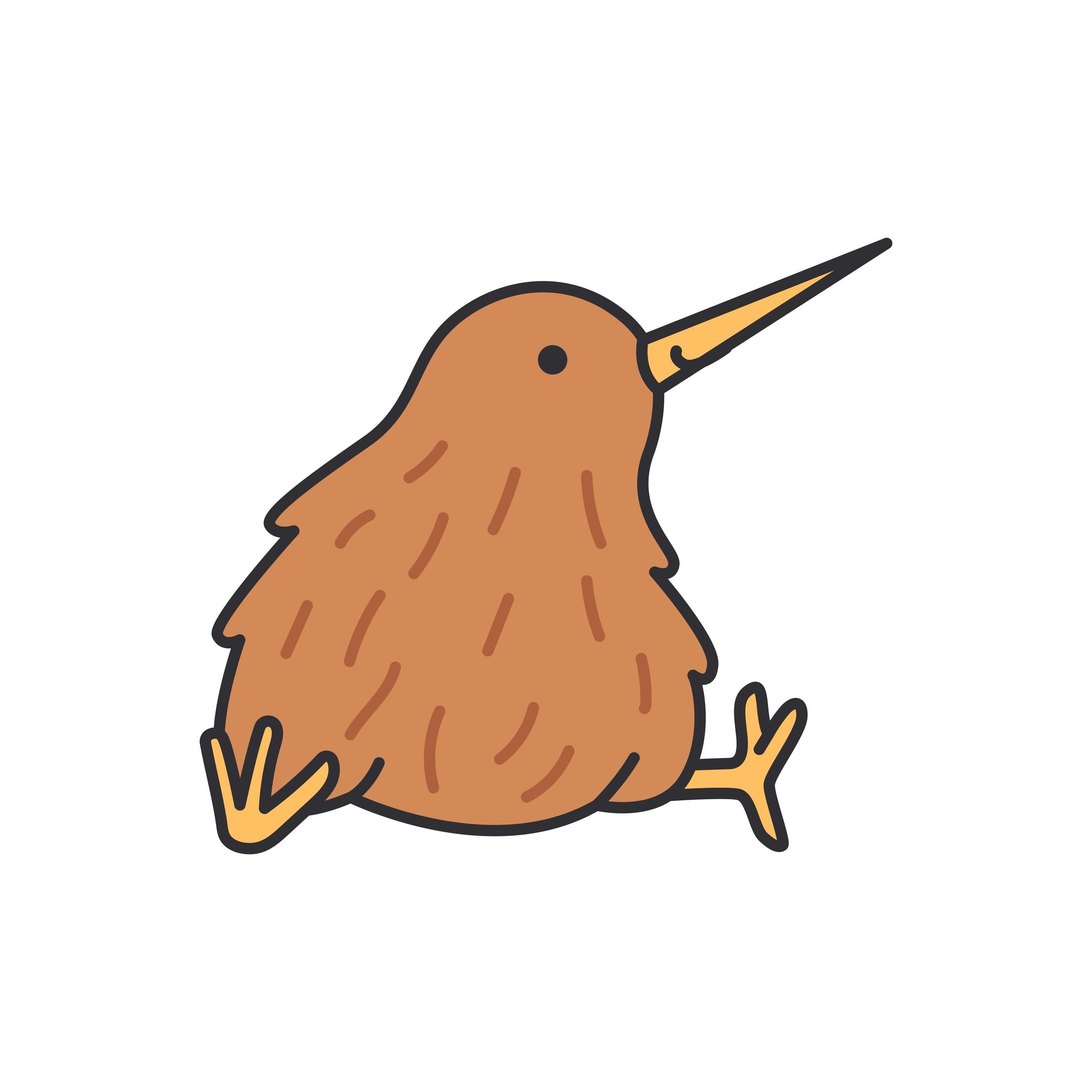 Kiwi Bird Illustration PNG, SVG - Etsy
