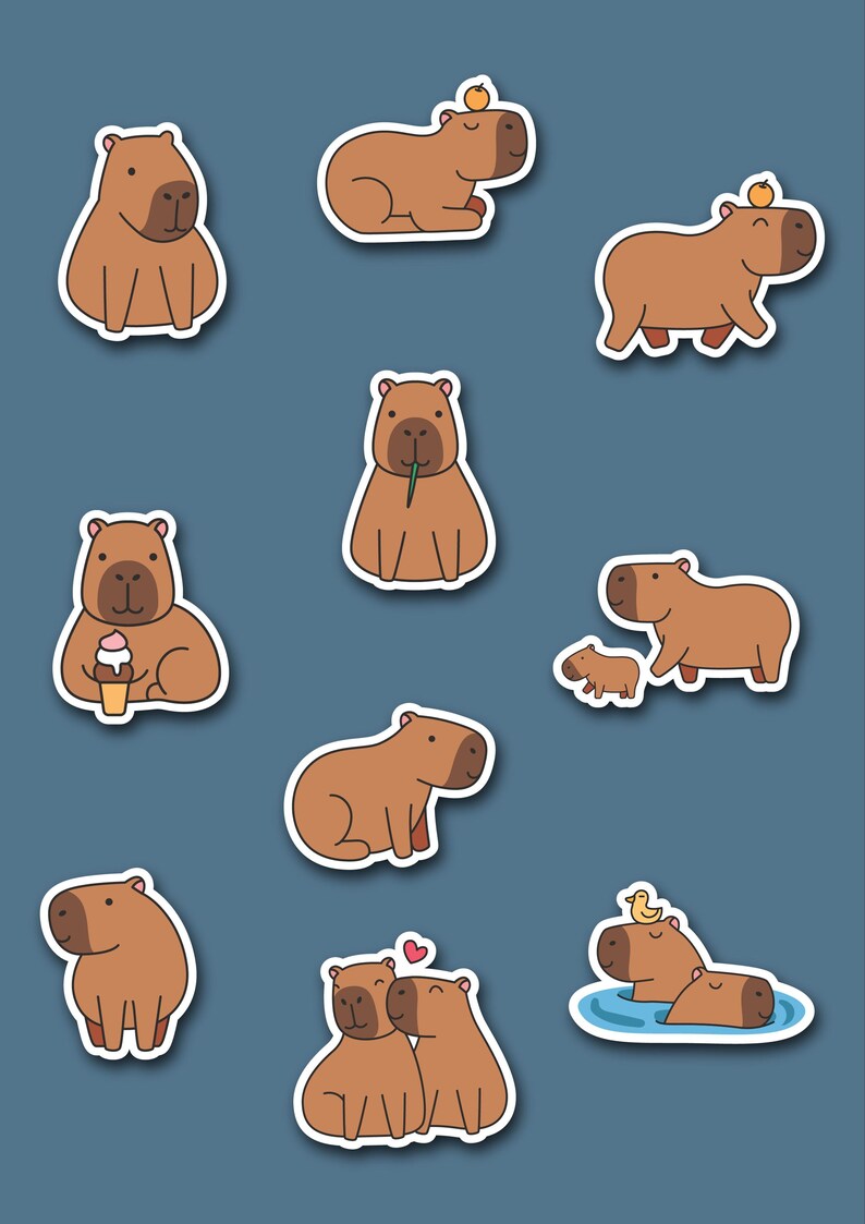 Capybara Illustration PNG, SVG - Etsy