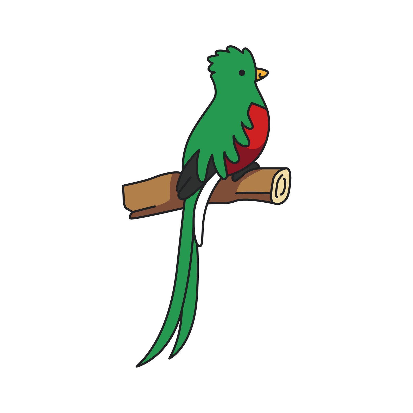 Quetzal Illustration PNG, SVG - Etsy