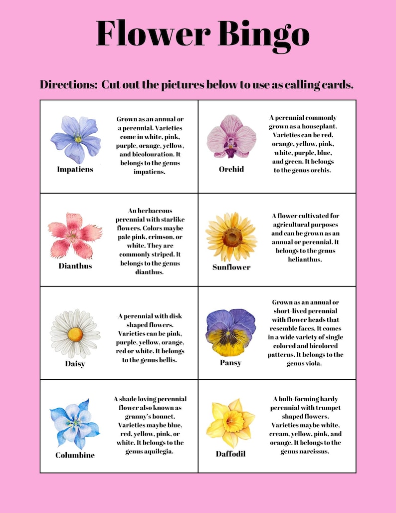 Flower Bingo 25 Unique Cards With Corresponding Hints - Etsy