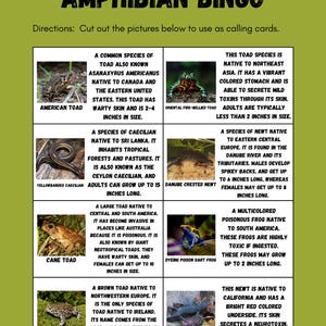 Amphibian Bingo- 35 Unique Cards - Etsy
