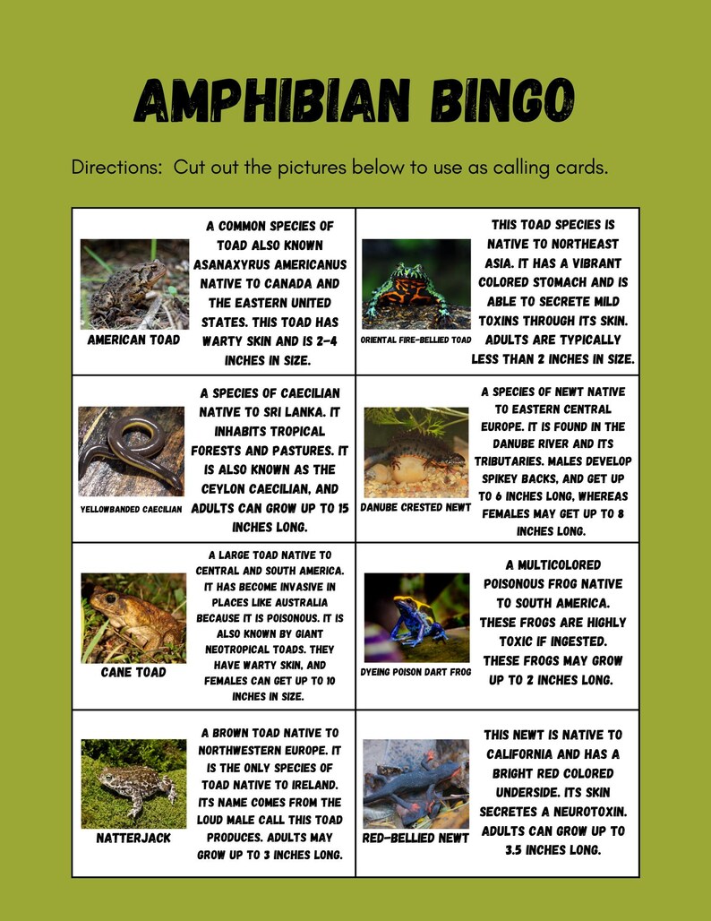 Amphibian Bingo- 35 Unique Cards - Etsy