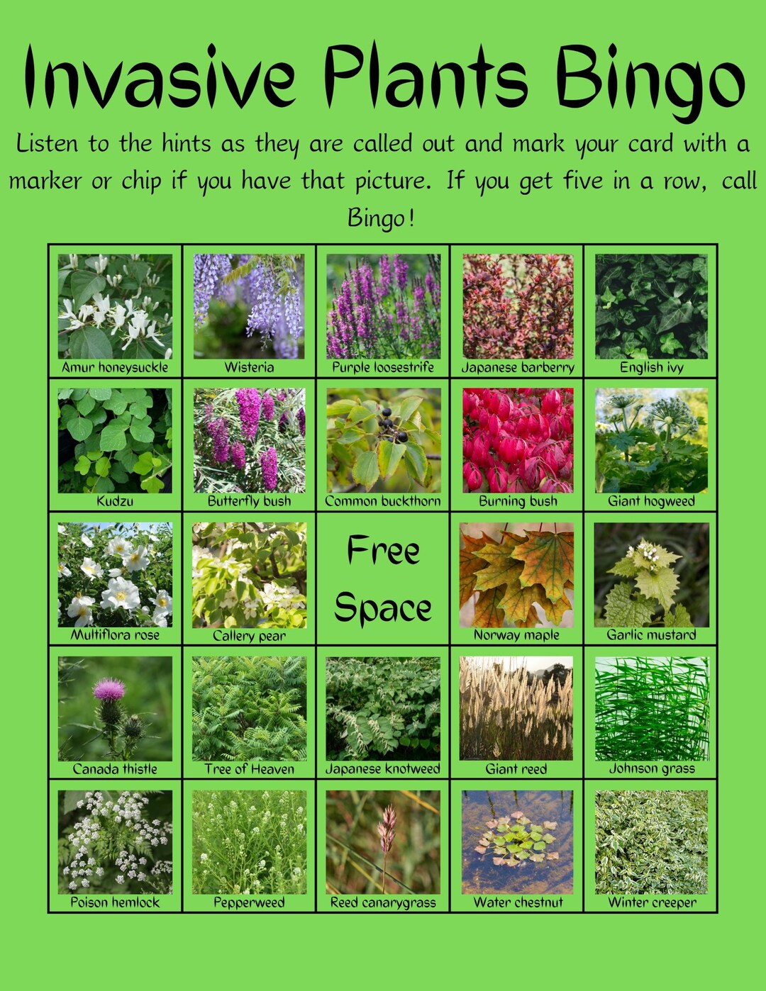 Invasive Plant Bingo- 35 Cards - Etsy
